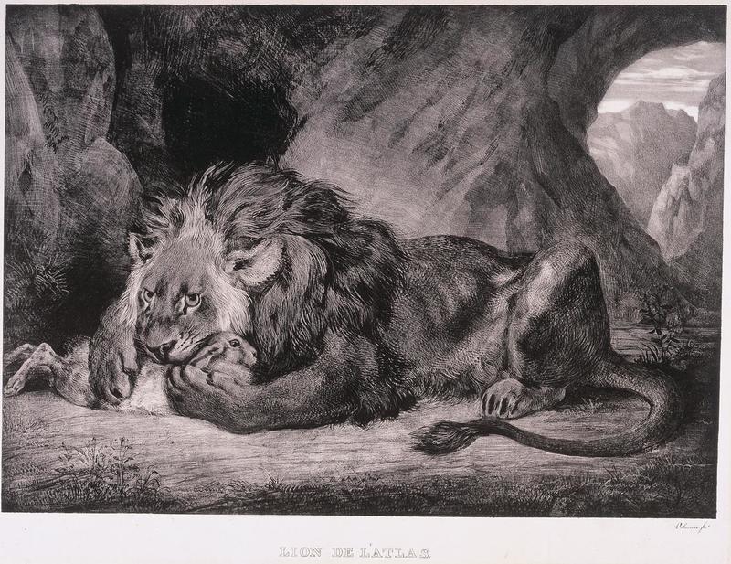 Lion de l'Atlas - McNay Art Museum